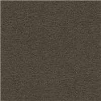 Beaucoup Coffee | Architex