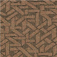 Cane Canyon | Architex