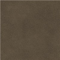 Cloud Nine Shale | Architex