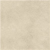 Cloud Nine Swiss Coffee | Architex