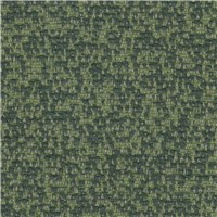 Cosmos Eucalyptus | Architex