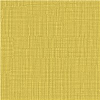 Etch Sunshine | Architex