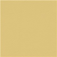 Evolution Anatomy Architex