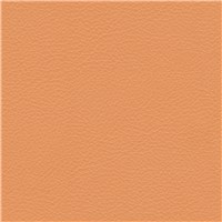 Evolution Carbon Architex