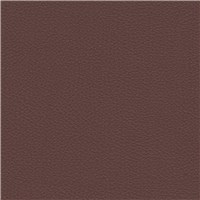 Evolution Class Architex