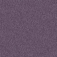 Evolution Clone Architex