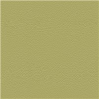 Evolution Gene Architex