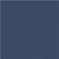 Evolution Navy Architex