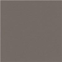 Evolution Sediment Architex