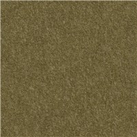 Mockaire Bronze | Architex