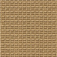 Palm Beach Hazel | Architex