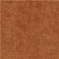 Piazza Koi | Architex