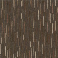 Propel Chocolate | Architex