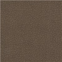 Purechic Grizzly | Architex