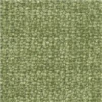 Salter Apple | Architex