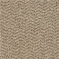 Timeless Earth | Architex