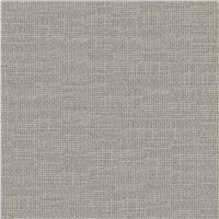 Transparent Silver | Architex