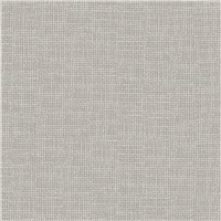 Transparent Zinc | Architex