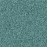 Tuatara Aqua | Architex