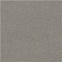 Tuatara Ash | Architex