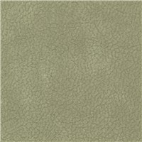 Ultraposh Eucalyptus Leaf | Architex