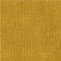 Waler Mustard | Architex