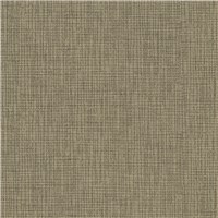 Winfield Birch | Architex