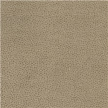 High Performance Fabric | Architex