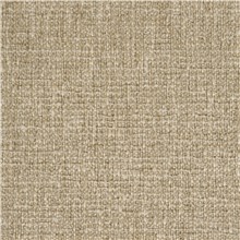 Vertex Crypton | Architex