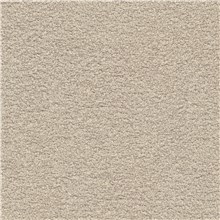 Shed Studio | Architex