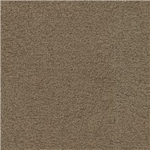 Shed Studio | Architex