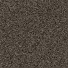 Shed Studio | Architex