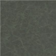 Authentec Polyurethane Fabrics | Architex