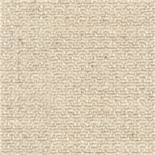 Crypton Essentials | Architex