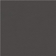 Evolutionary Series | Architex