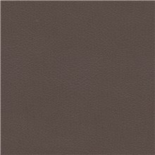 Authentec Polyurethane Fabrics | Architex