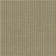 High Performance Fabric | Architex