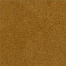 Pure Tech | Architex