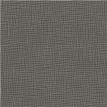 Evolutionary Series | Architex