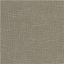 Evolutionary Series | Architex