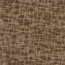 Evolutionary Series | Architex