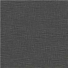 Evolutionary Series | Architex