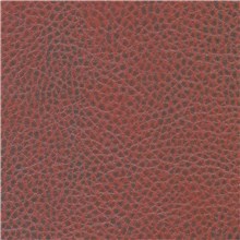 Commercial Grade Upholstery Fabric | Architex