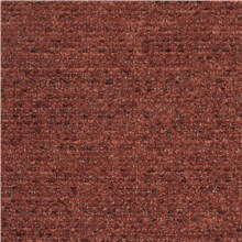 Vertex Crypton | Architex