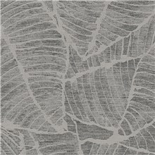 Pure Tech Plus+ | Architex