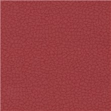 Pure Tech | Architex