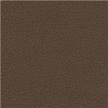 Pure Tech | Architex