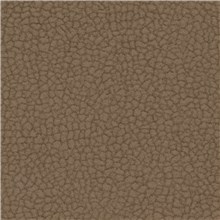 Pure Tech | Architex