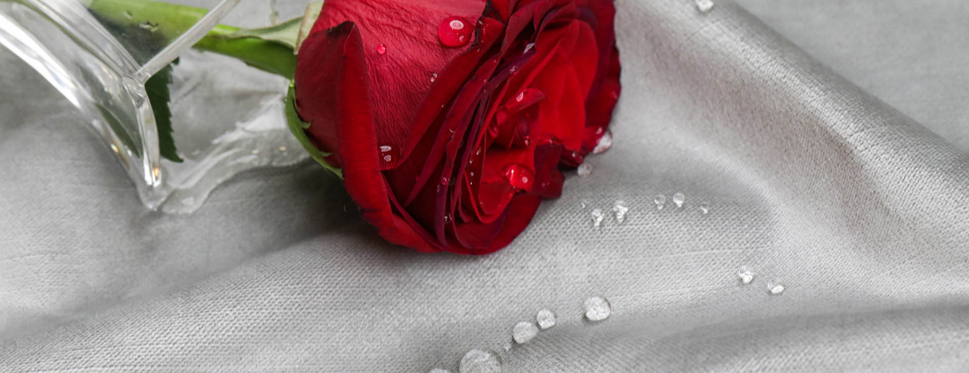 Architex - Commercial Fabrics, Upholstery Fabrics, Drapery Fabrics and More | Architex